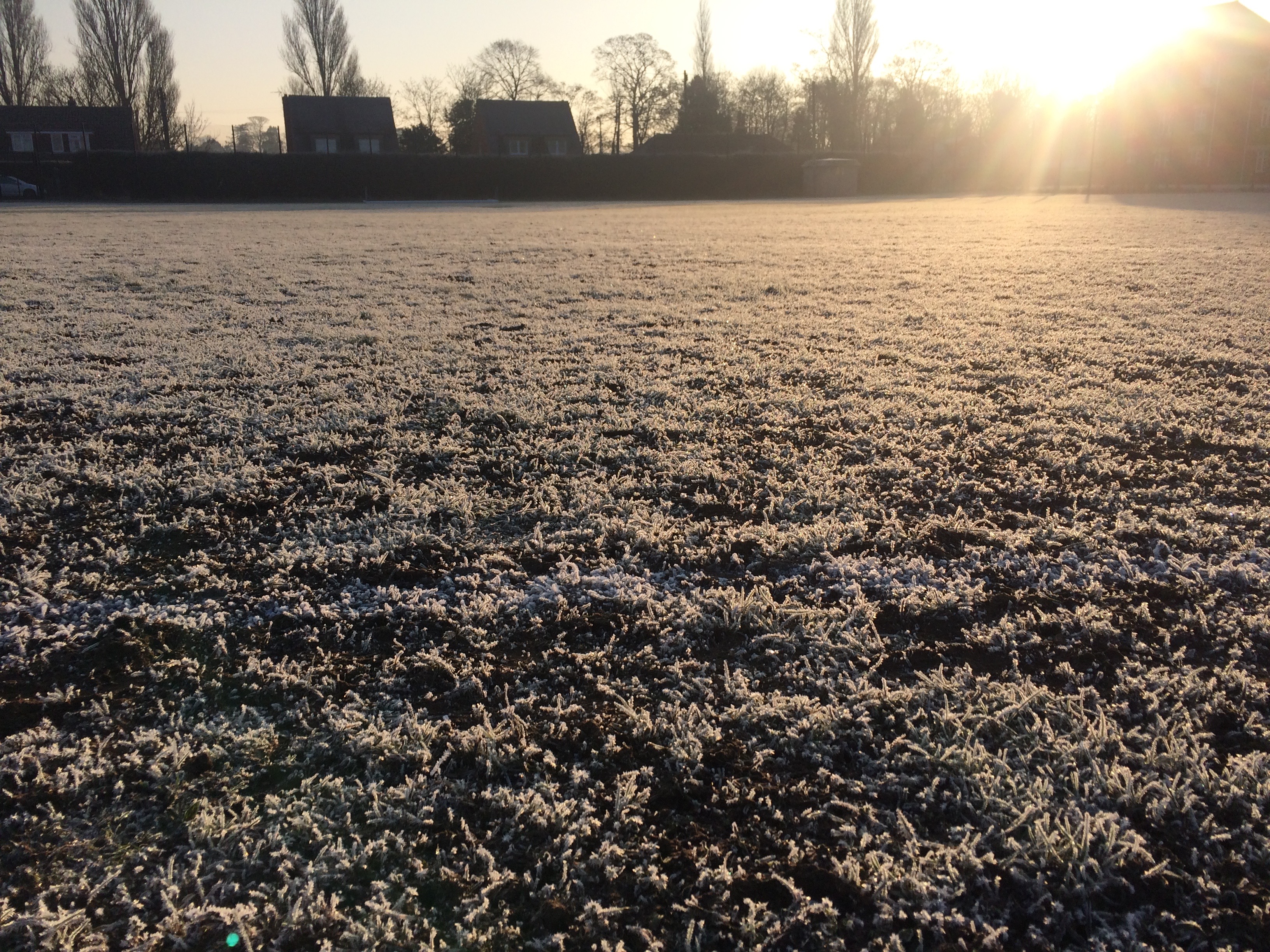 St George's Playing Field Photo 10