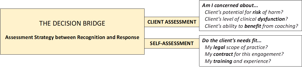 The Decision Bridge: A Model for Coaching Distressed Physicians ...