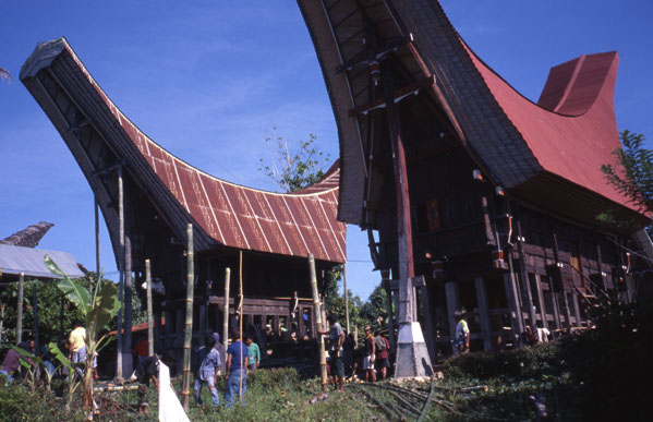 Building funerary (raff?). Toraja | openEQUELLA