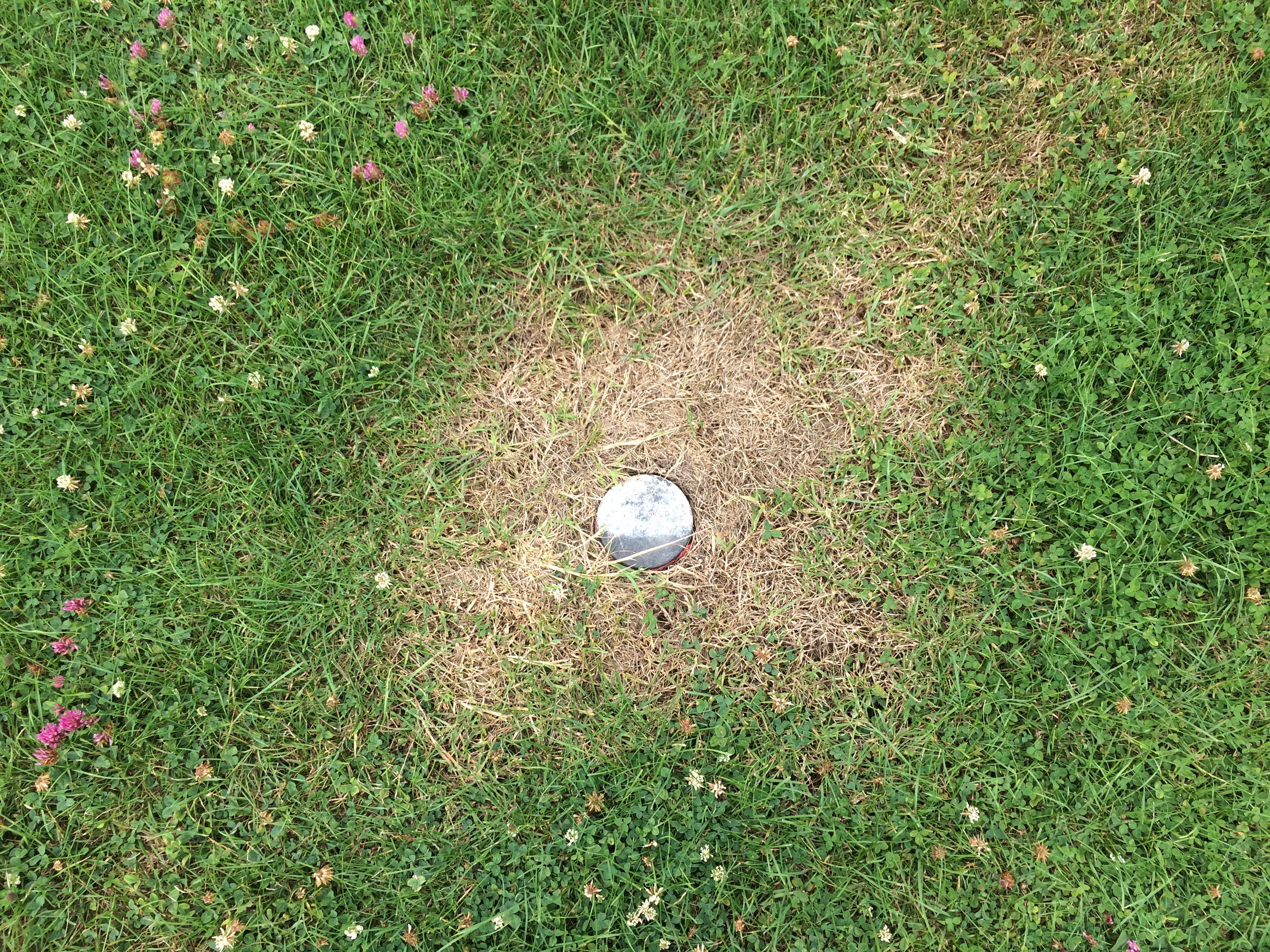 Lee Road Quainton Photo 02 | openEQUELLA