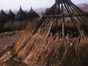 Roof. Parc thatched. Nuba | openEQUELLA