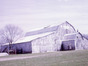 White barn. Reeds spring. Mo | openEQUELLA